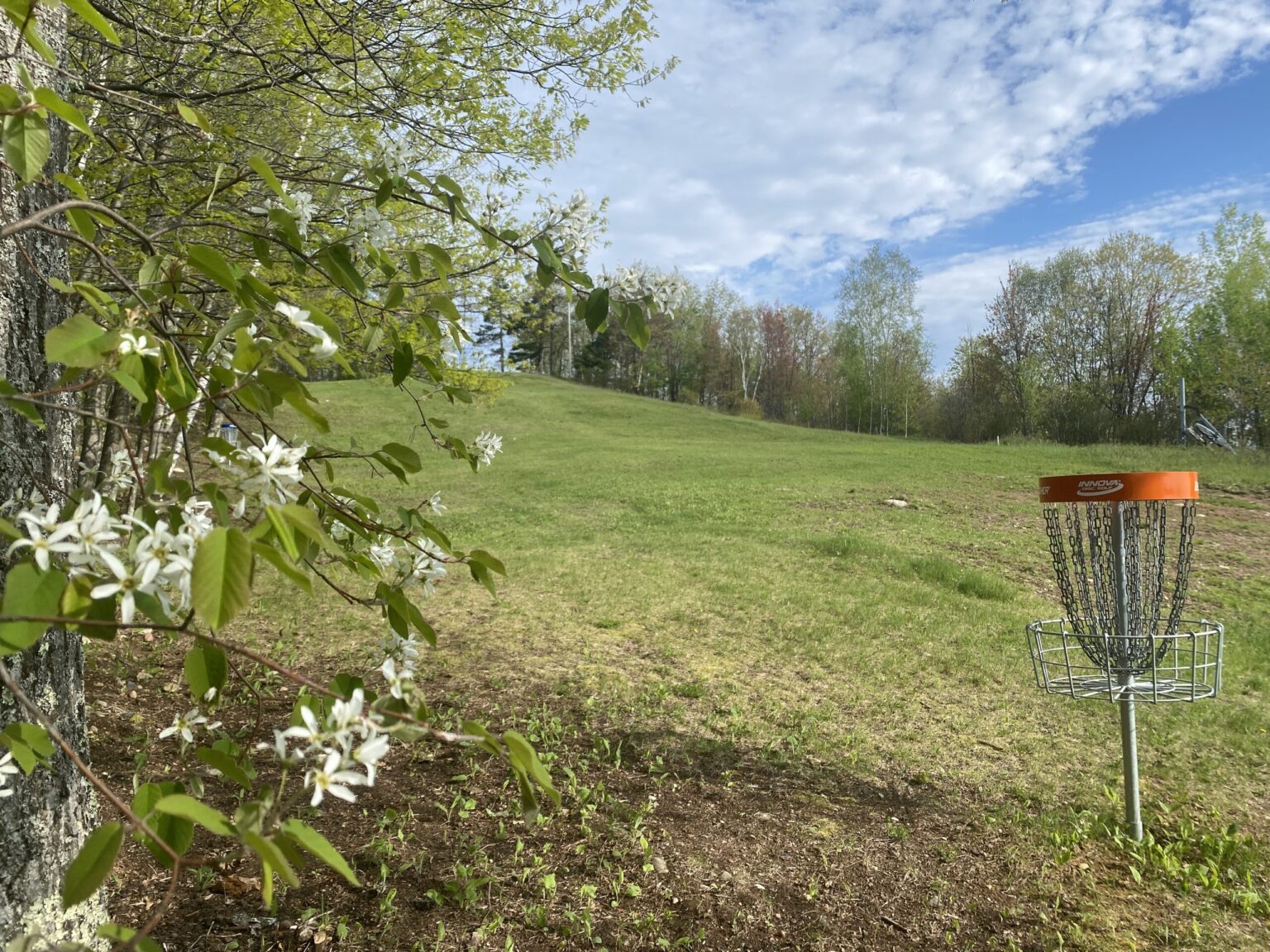 Squirrel Hill Disc Golf Course – Minocqua Winter Park